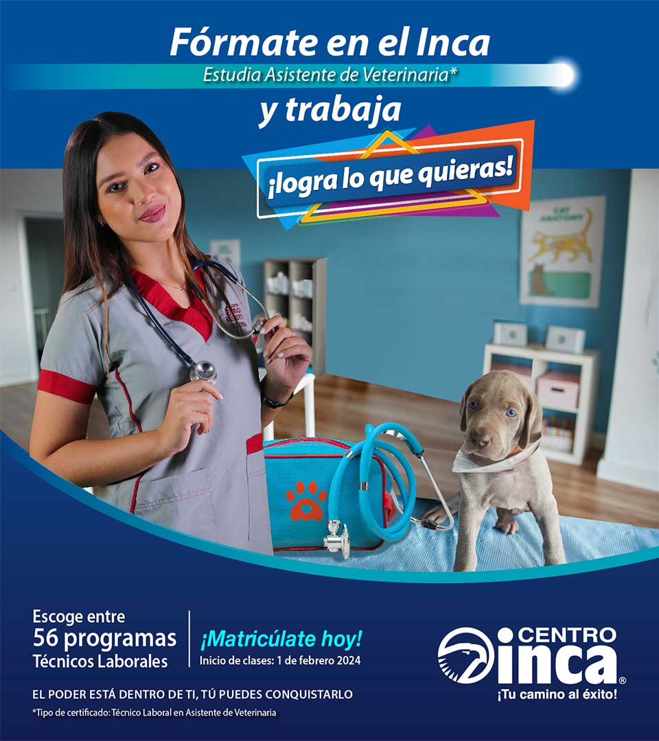 Centro Inca – Tu camino al éxito – Estudia Programas Técnicos Laborales ...