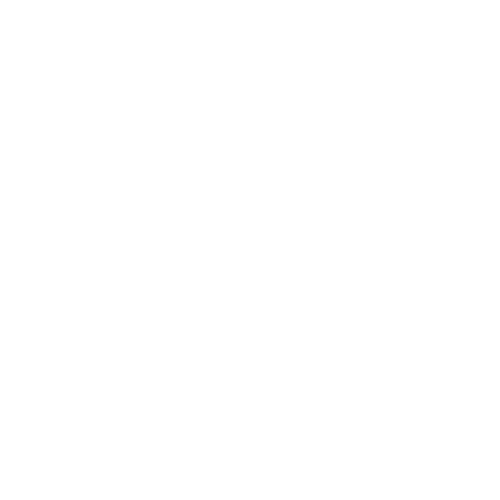 Organización Inca Transformamos Vidas