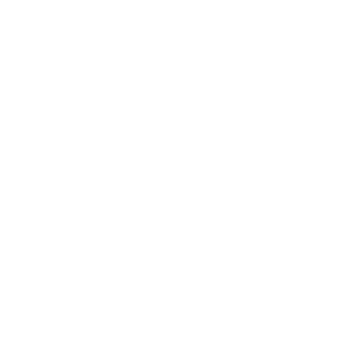 Organización INCA – TRANSFORMAMOS VIDAS